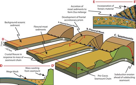 Seamount Chainsubduction Zone Interactions Implications For Accretionary And Erosive