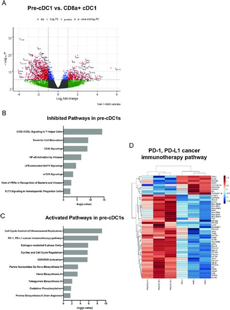 Pre Cdc1 And Cd8α Cdc1 Exhibit Distinct Transcriptional Programs
