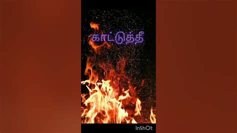 காட்டுத்தீ Youtube