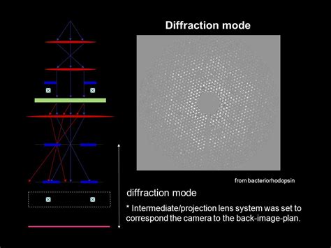 Yifan Cheng Department Of Biochemistry And Biophysics University Of