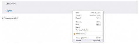 Exploiting Authentication Issues Of Web Application