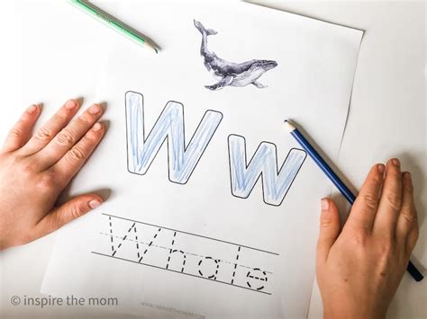 100 Objects That Start With W Alphabet Items A Z 100 Objects That Start With W Alphabet Items A Z