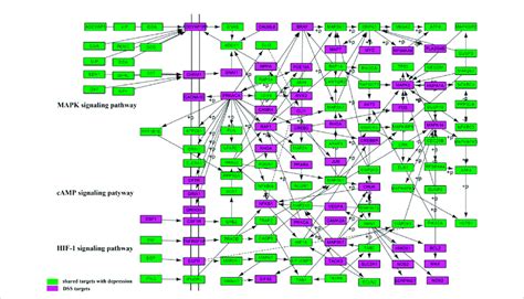 Distribution Of Targets Of Fcg In The Comprehensive Signaling Pathway