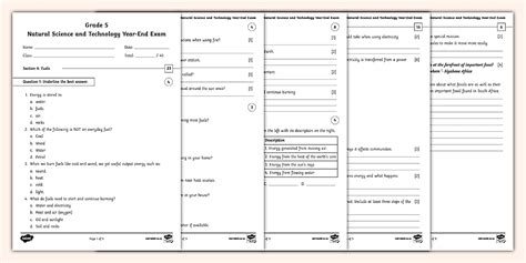 Grade 5 Ns Tech Exam Papers Natural Sciences Twinkl Sa