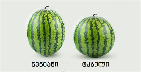 როგორ შევარჩიოთ მწიფე და წვნიანი საზამთრო All Time