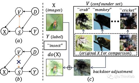 【kdd22】dice 域攻击不变的因果学习以保护数据隐私、提升攻击迁移性和对抗鲁棒性 知乎