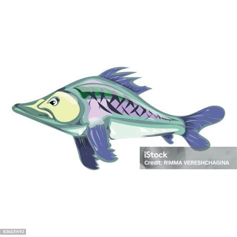 만화 물고기입니다 벡터 일러스트 레이 션 그리기 손으로 0명에 대한 스톡 벡터 아트 및 기타 이미지 0명 러시아 물고기 Istock
