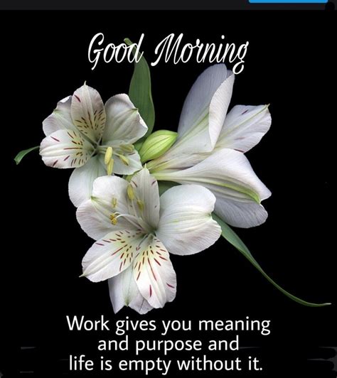 Good Morning Wishes Lily Flowers Images Desi Comments