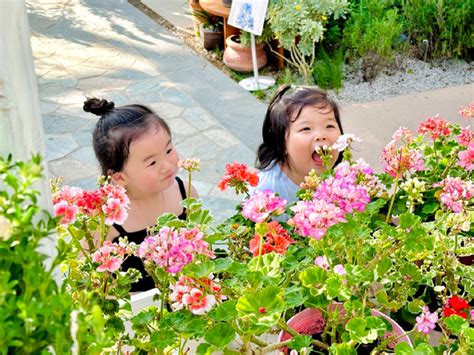 국립세종수목원 지중해 식물 이야기 기획전시 개최