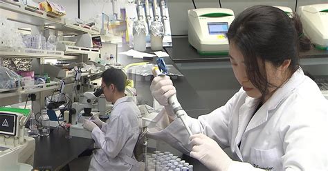 ‘의정 갈등에 묻힌 의사과학자 양성 의료산업·연구 뒤처질 우려”