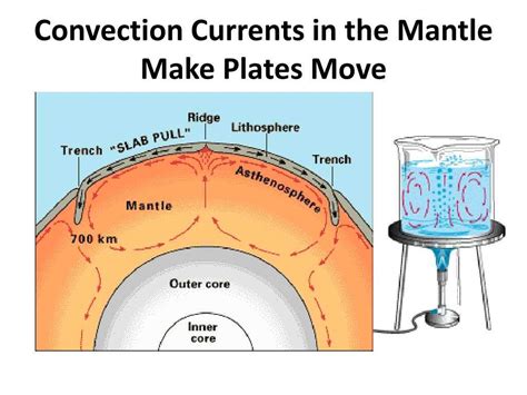 Unlocking The Secrets Of Convection Cells The Answer Key