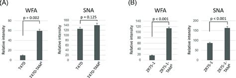 Lectin Microarray Analysis Of T47d And Zr75 1 Cells And Their