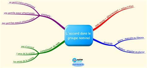 Carte Mentale Laccord Dans Le Groupe Nominal Maître Lucas