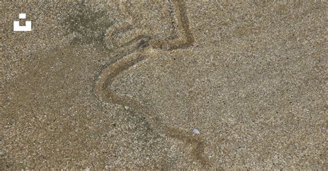 하트 모양의 갈색 모래 사진 Unsplash의 무료 회색 이미지