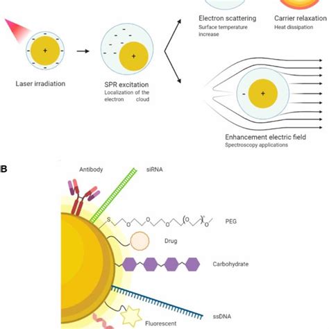Pdf Gold Nanomaterials In The Management Of Lung Cancer