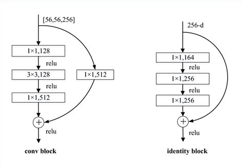 Network Structure Diagram Of The Conv Block And The Identity Block In Download Scientific