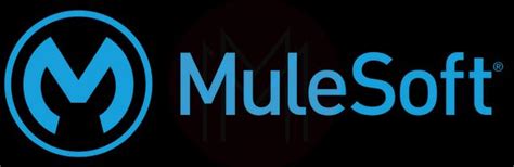 what is mulesoft developer overview of mulesoft developer
