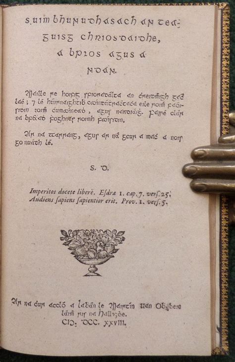 The Elements Of The Irish Language Grammatically Explained In English