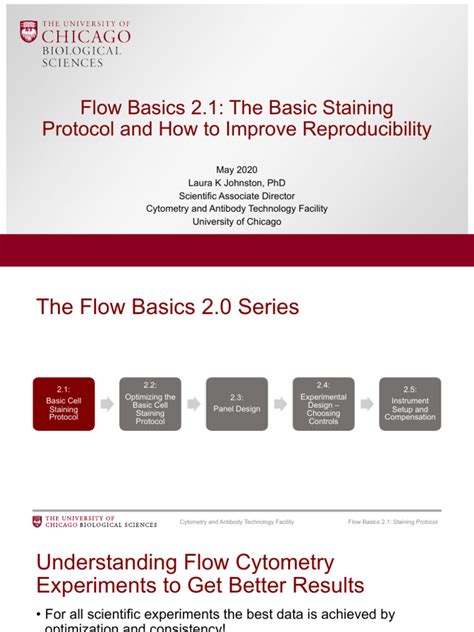 flow basics 2 1 staining protocol and reproducibility 05 2020 pdf