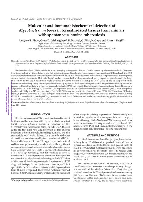 Pdf Molecular And Imunohistochemical Detection Of Mycobacterium Bovis