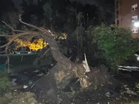 Downburst Wreaks Havoc On Cherry Hill Nws Cherry Hill Nj Patch