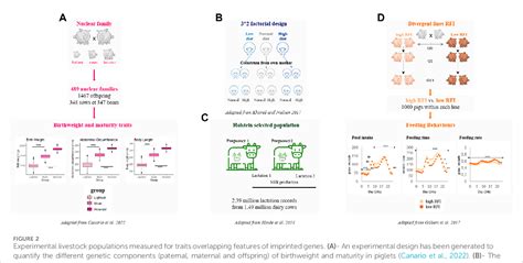 Figure 2 From Livestock Species As Emerging Models For Genomic Imprinting Semantic Scholar
