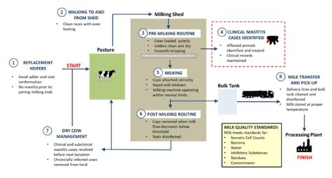 Herd Health Approach To Mastitis Flashcards Quizlet