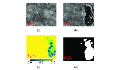 Detection Of Defects Formed In A Thin Film Coating Using Thermal
