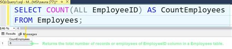 How To Use Count Function In Sql Server Sql Server Guides