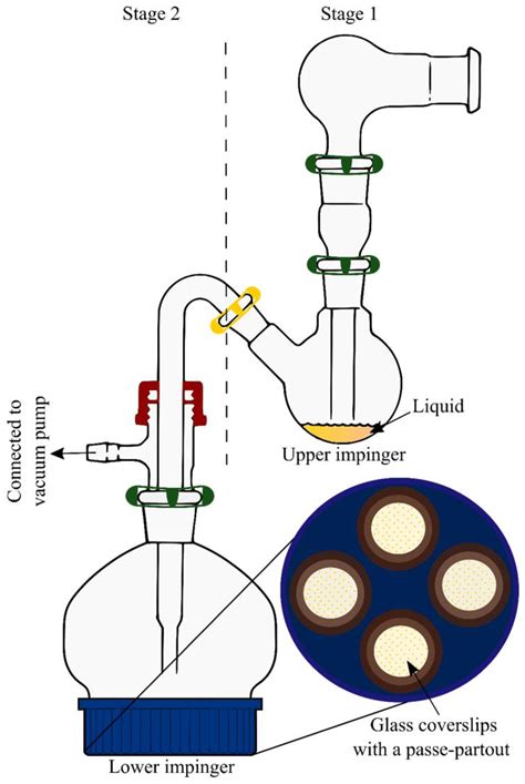 Dissolution And Absorption Of Inhaled Drug Particles In The Lungs