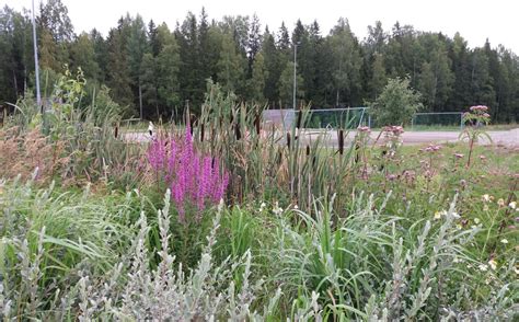 Performance Monitoring Of Nature Based Solutions UNaLab