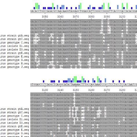 Nucleotide Sequence Alignment Of The Two Sequenced Bands Both Forward Download Scientific