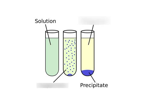 Solubility Rules Diagram Quizlet