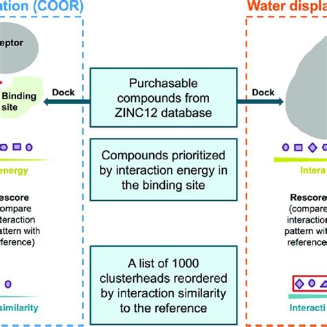 Workflows For Two Distinct Virtual Screen Protocols To Coordinate