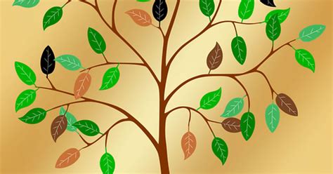 Understanding Life As A Developmental Process Psychology Today United