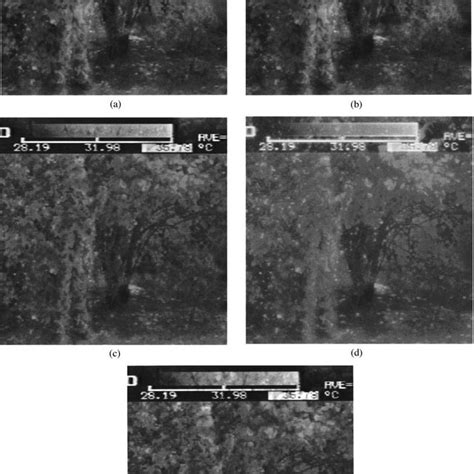 pdf contrast based image fusion using the discrete wavelet transform