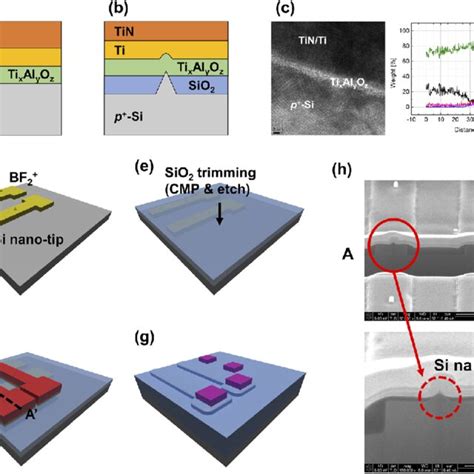 Cross Sectional Schematics Of A Planar Comparison And B Nano Tip Download Scientific