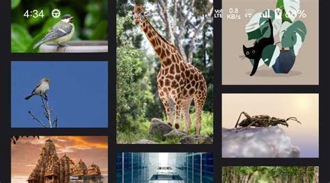 I Want To Set Full Screen Like Mobilityware Solitaire Game In My Application In Android Java
