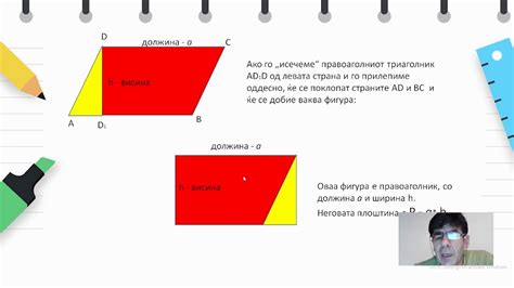Viii одделение Математика Плоштина на паралелограм и триаголник Youtube