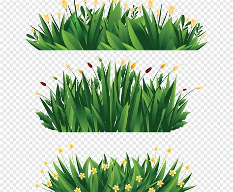 Green Natural Grass Element
