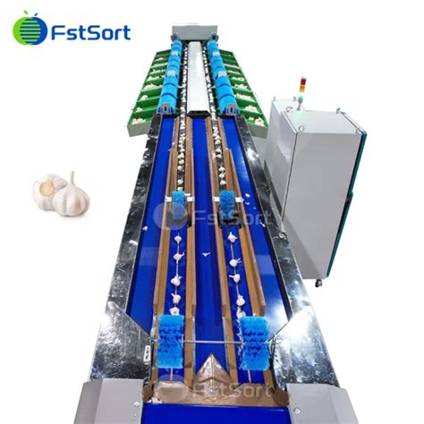 Garlic Sorting Grading Machine Onion Weight Sorter Onion Sorting