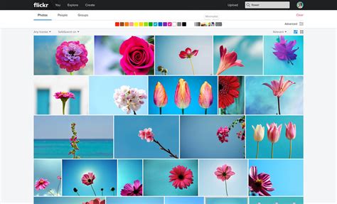 Flickrs New Design Brings You A Beautiful Seamless Experience