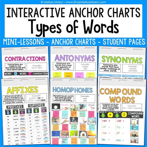 Types Of Words Anchor Charts Interactive Anchor Charts DIGITAL DOWNLOAD Etsy
