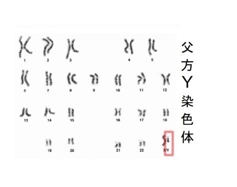 関西在住の歴史ファン on Twitter ④明治天皇は南朝正統宣言 纂輯御系図 で 600年前の貞成親王は父不詳で血筋素性不明だから