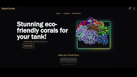 Build Frontend In React Next Js And Javascript Typescript By