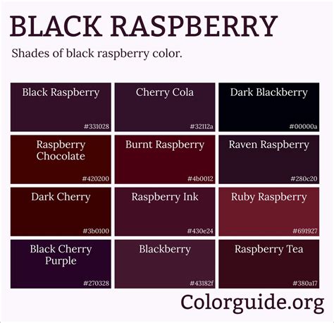 24 Types Of Black Raspberry Color