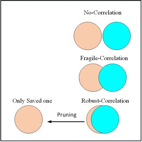 Robustly Correlated Feature Maps Are Chosen And One Of Duplicate