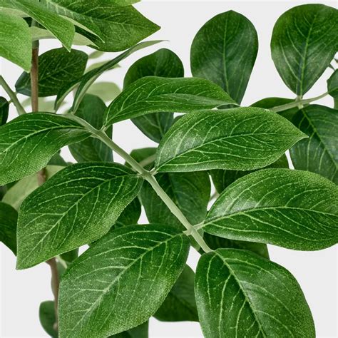 Artificial Pterocarpus Leaf Tree Threshold Second Story Living