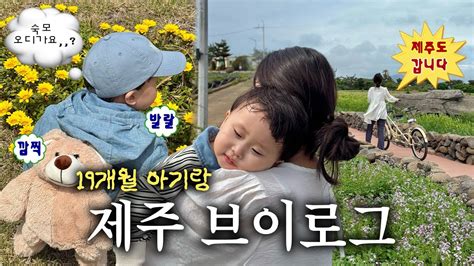 👶🏻19개월 아기랑 제주도 가족 여행 Vlog🍊 L 장난감 많은 숙소•유아 동반 맛집카페 추천•가족 스냅•새별프렌즈•서쪽 여행코스🌴 Youtube