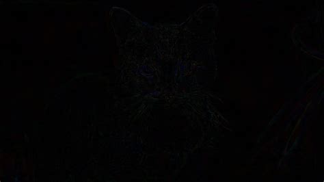 C Model Output Image Different In C Ort Vs Python Ort And Pytorch · Issue 13614